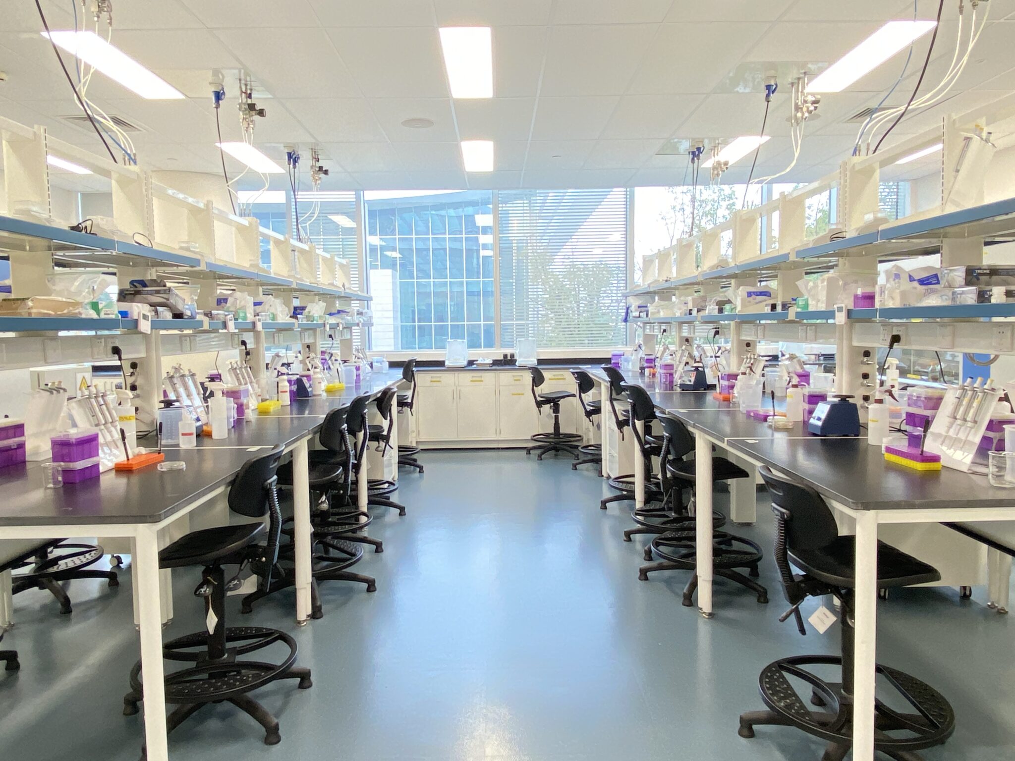 Introduction | Laboratory – Division of Natural and Applied Sciences