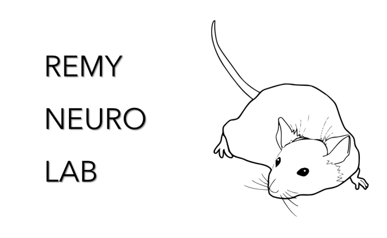 Research Labs | Division of Natural and Applied Sciences